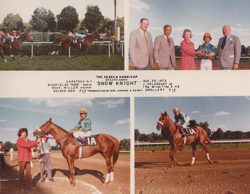 Aiken Thoroughbred Racing Hall of Fame - Snow Knight