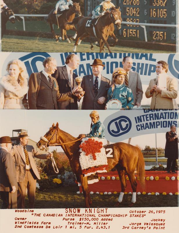 Aiken Thoroughbred Racing Hall of Fame - Snow Knight
