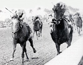 Aiken Thoroughbred Racing Hall of Fame - Swale