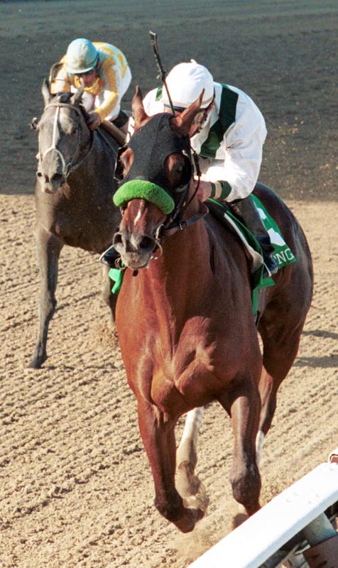 Aiken Thoroughbred Racing Hall of Fame & Museum - 2002 Aiken Trained ...